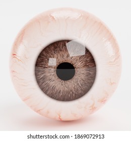 Realistic 3d Render Human Eye Stock Illustration 1869072913 | Shutterstock