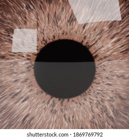 Realistic 3d Render Human Eye Stock Illustration 1869769792 | Shutterstock