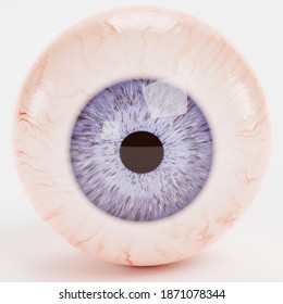 Realistic 3d Render Human Eye Stock Illustration 1870524718