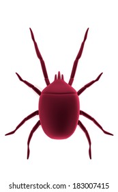 Northern Fowl Mite Ornithonyssus Sylviarum Common库存照片598034387 ...