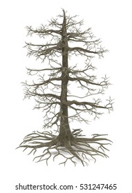 Realistic 3d Render Oak Tree Dead 스톡 일러스트 531247465 | Shutterstock