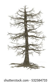 Realistic 3d Render Oak Tree Dead Stock Illustration 532584733 ...