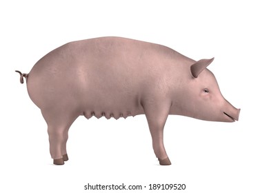 Realistic 3d Render Male Pig Stock Illustration 188914331 | Shutterstock