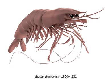 Realistic 3d Render Prawn Stock Illustration 190064231 | Shutterstock