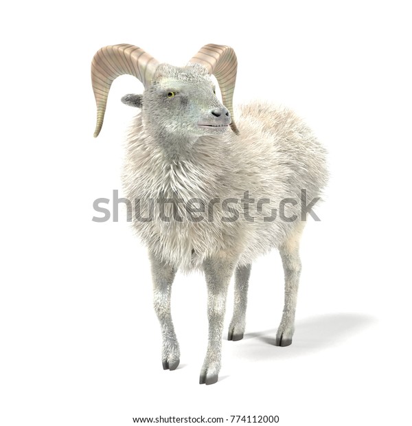 Realistic 3d Render Ram Stock Illustration 774112000