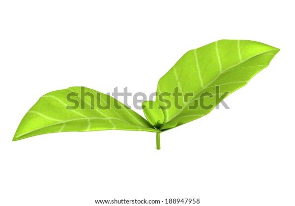 Realistic 3d Render Salad Stock Illustration 188947958 | Shutterstock