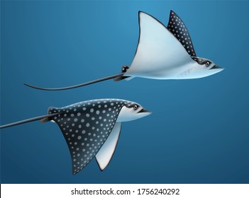98 Long tail stingray Images, Stock Photos & Vectors | Shutterstock