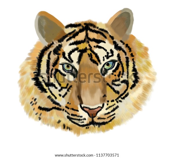 Realistic Tiger Head Stock Illustration 1137703571 | Shutterstock