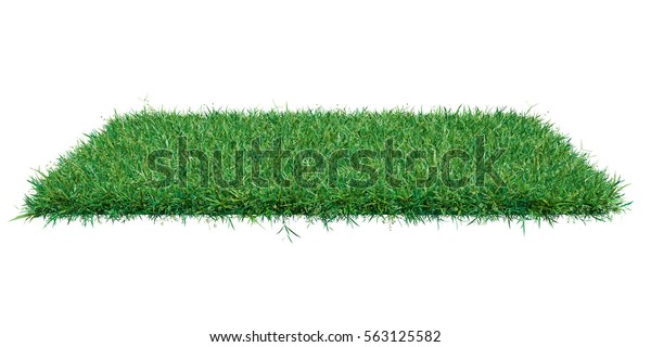 Rectangle Plane Covered Green Grass 3d Stock Illustration 563125582 ...