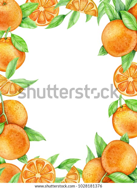 Rectangular Frame Oranges Watercolor 스톡 일러스트 1028181376 | Shutterstock