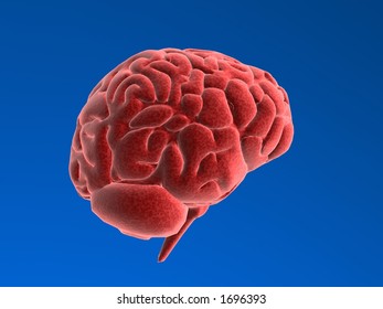 Red Brain Stock Illustration 1696393 | Shutterstock