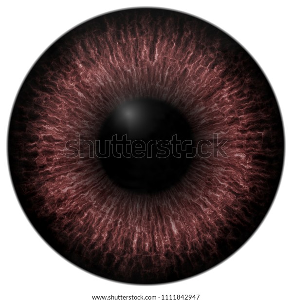 Red Brown Eye 3d Texture Black Stock Illustration 1111842947 | Shutterstock