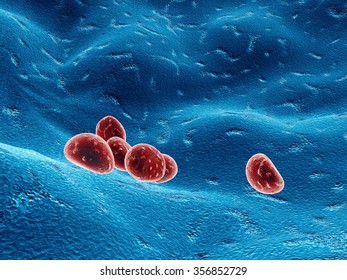 Red Cells Stock Illustration 356852729 | Shutterstock
