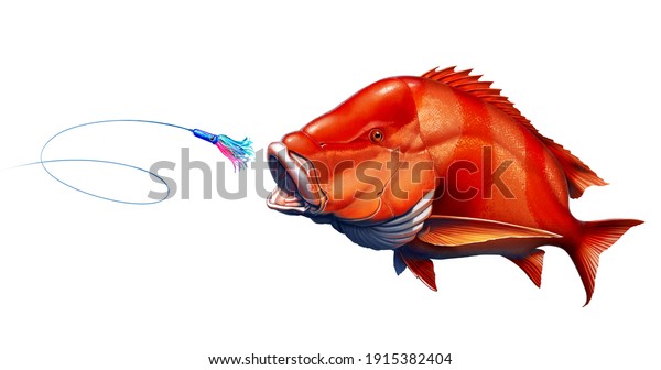 Red Emperor Snapper Fish Attacks Bait Stock Illustration 1915382404 ...