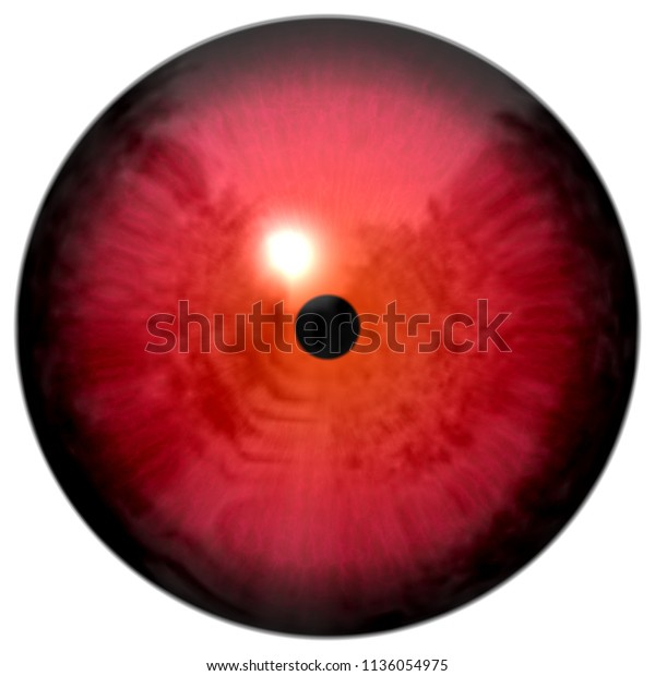 Red Eye Texture White Background Black Stock Illustration 1136054975 ...