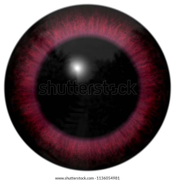 Red Eye Texture White Background Black Stock Illustration 1136054981 ...