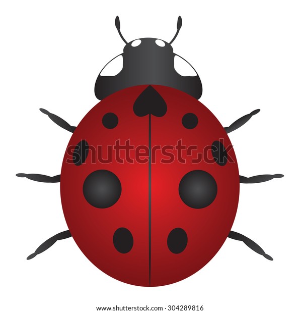 Red Nine Spotted Ladybug Isolated On Stock Illustration 304289816 ...