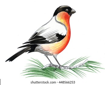 99 Female Robbin Images, Stock Photos & Vectors | Shutterstock
