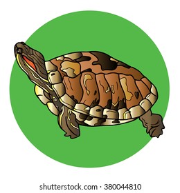 Redeared Slider Turtle Stock Illustration 380044810 | Shutterstock