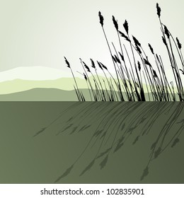 Reeds Water Vector Stock Vector (Royalty Free) 99930665 | Shutterstock