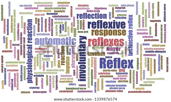 Reflex Word Cloud Jumbled Isolated On: стоковая иллюстрация, 1339876574 ...