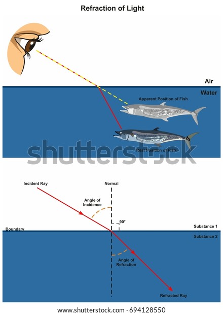 Refraction Light Infographic Diagram Example Human Stock Illustration ...