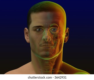 399 Faded skull Stock Illustrations, Images & Vectors | Shutterstock