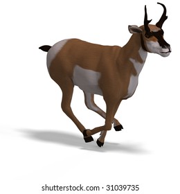 Rendering Antelope Clipping Path Shadow Over Stock Illustration ...