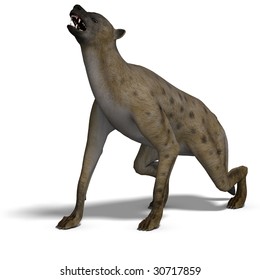Rendering Hyena Clipping Path Shadow Oder 스톡 일러스트 30717859 | Shutterstock
