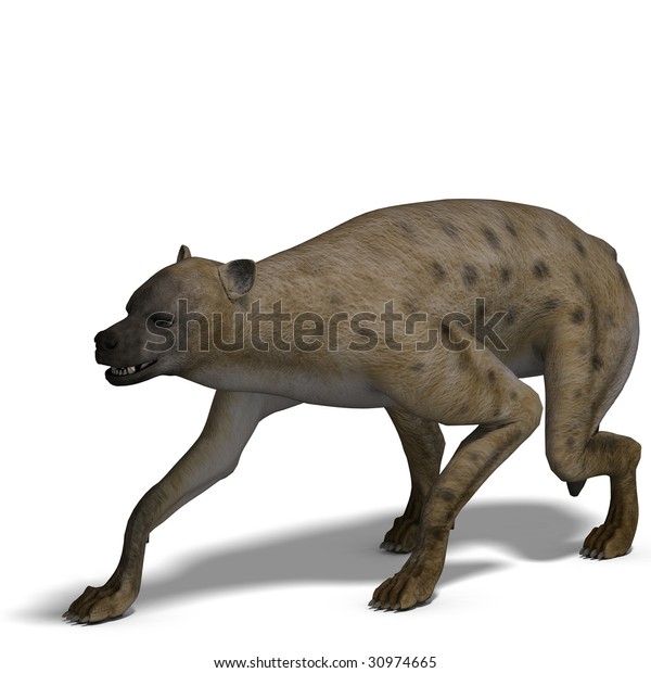 Rendering Hyena Clipping Path Shadow Oder: ilustración de stock ...