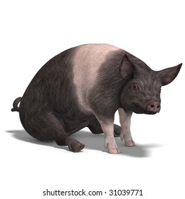 Rendering Pig Shadow Clipping Path Over Stock Illustration 31039771 ...