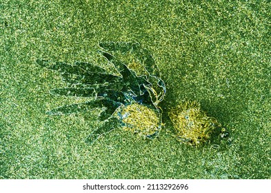 Onslaught Images, Stock Photos & Vectors | Shutterstock
