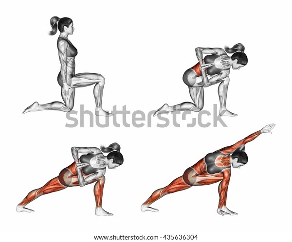 Revolved Side Angle Pose Parivrtta Parsvakonasana Stock Illustration ...