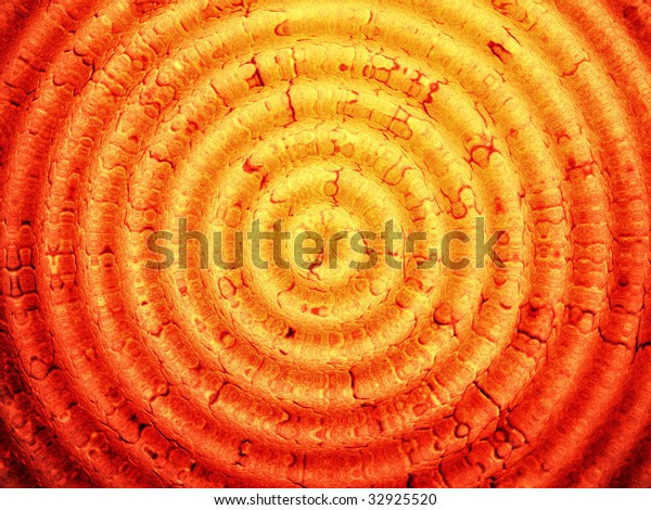 Ripple Radial Weave Texture Stock Illustration 32925520 | Shutterstock