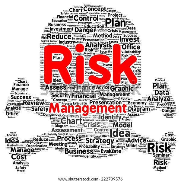 Risk Management Word Cloud Shape Concept Stock Illustration 222739576