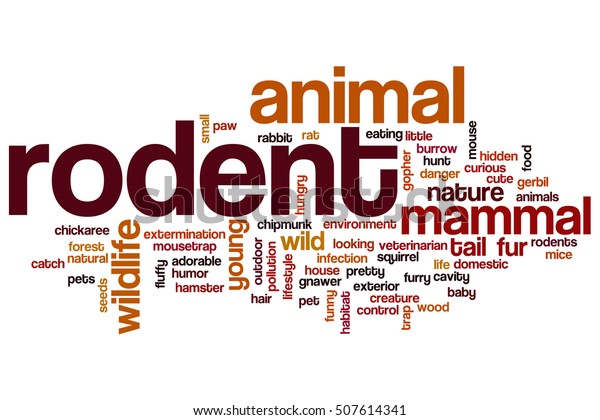 Rodent Word Cloud Concept Stock Illustration 507614341 | Shutterstock
