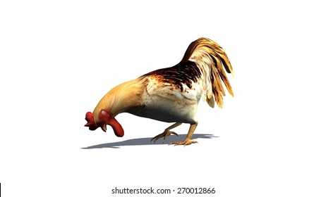 Rooster Separate On White Background Stock Illustration 270012866