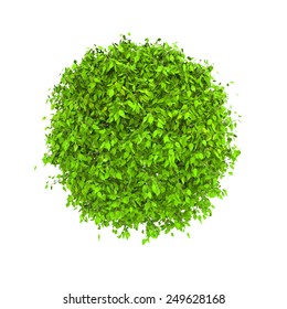 44,359 Bush round Images, Stock Photos & Vectors | Shutterstock