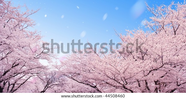 67 Tree Row With Flowers In Color Change Images, Stock Photos & Vectors ...