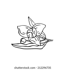 Rumdul Flower Stock Illustration 212296735 | Shutterstock