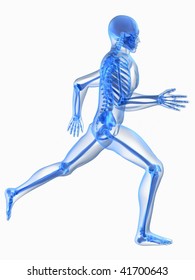 6,889 Running human anatomy Images, Stock Photos & Vectors | Shutterstock
