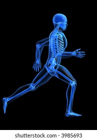 4,344 Skeleton runs Images, Stock Photos & Vectors | Shutterstock