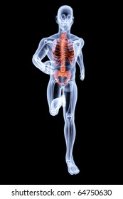 929 X ray person running Images, Stock Photos & Vectors | Shutterstock