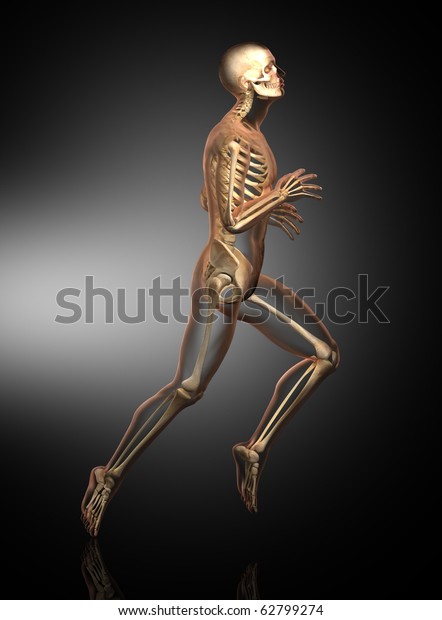 Running Man Visible Skeleton Stock Illustration 62799274