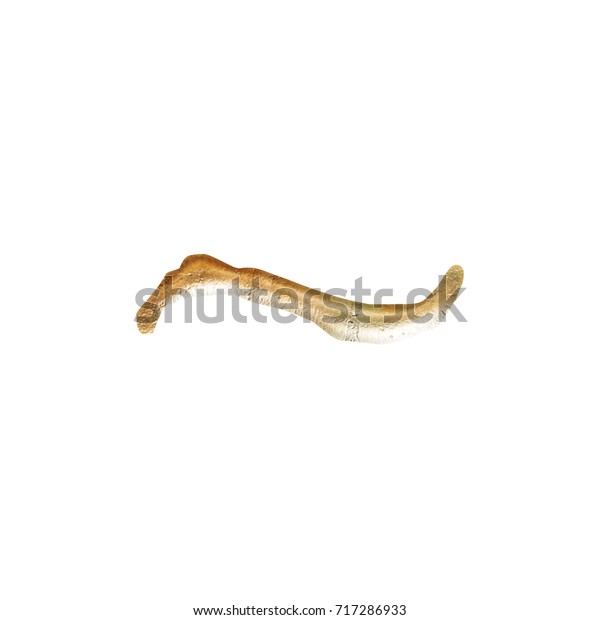 Rustic Aged Gold Style Tilde Dash Stock Illustration 717286933 ...