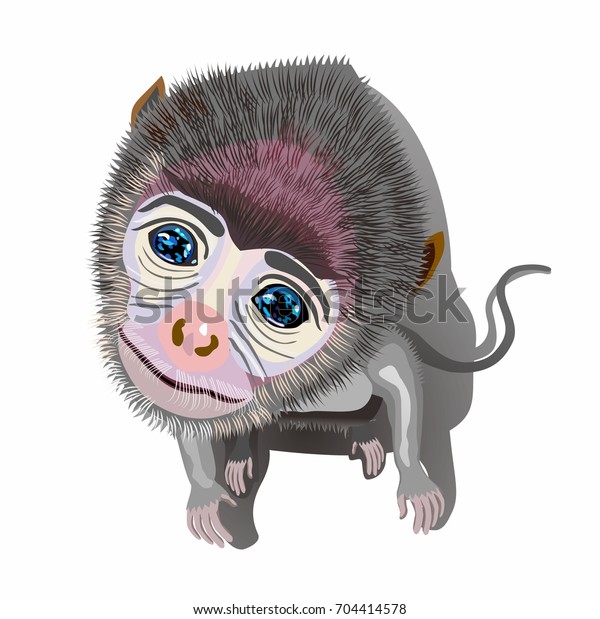 Sad Monkey Face Drawing Monkey Sad Stock Illustration 704414578
