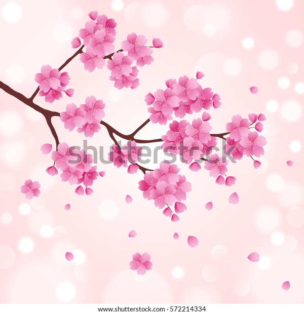Sakura Flower Pattern Element Romantic Pink Stock Illustration ...
