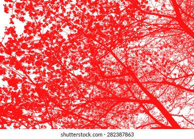 Sakura Texture Abstract Background Image Red Stock Illustration ...