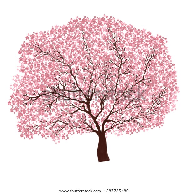 Sakura Tree White Background Stock Illustration 1687735480 | Shutterstock