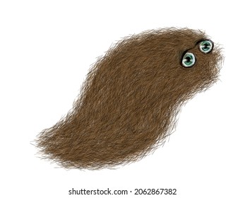 Sample Wool Different Hairs Animals Wool Stock Illustration 2062867382 ...